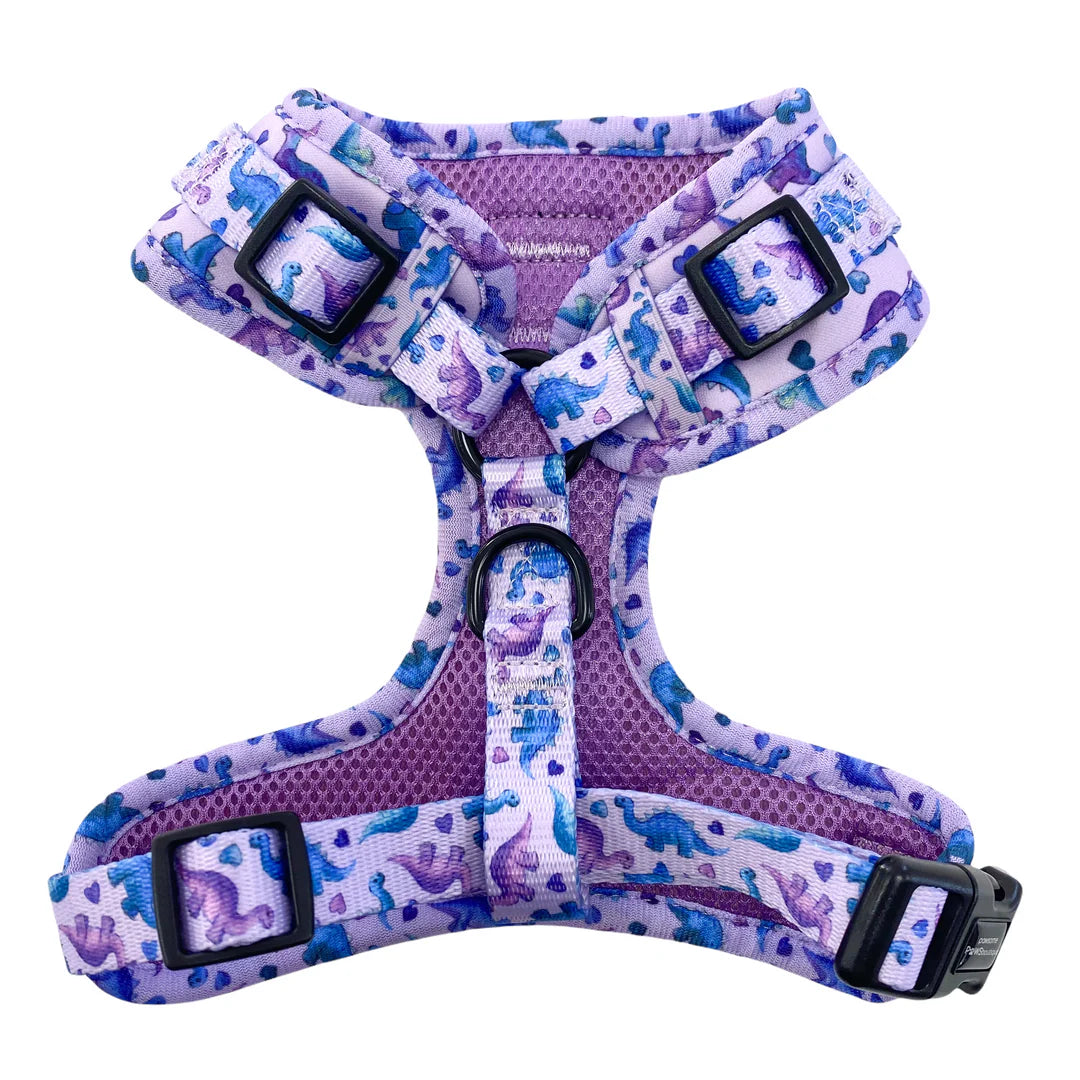 Tiny Diny D-Ring Adjustable Harness – Carlita Secrets
